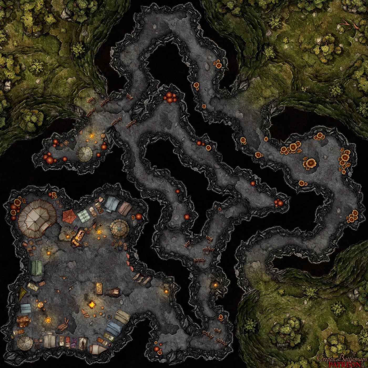 65_Cave Camp 50x50 (Rebels) | Inkarnate - Create Fantasy Maps Online