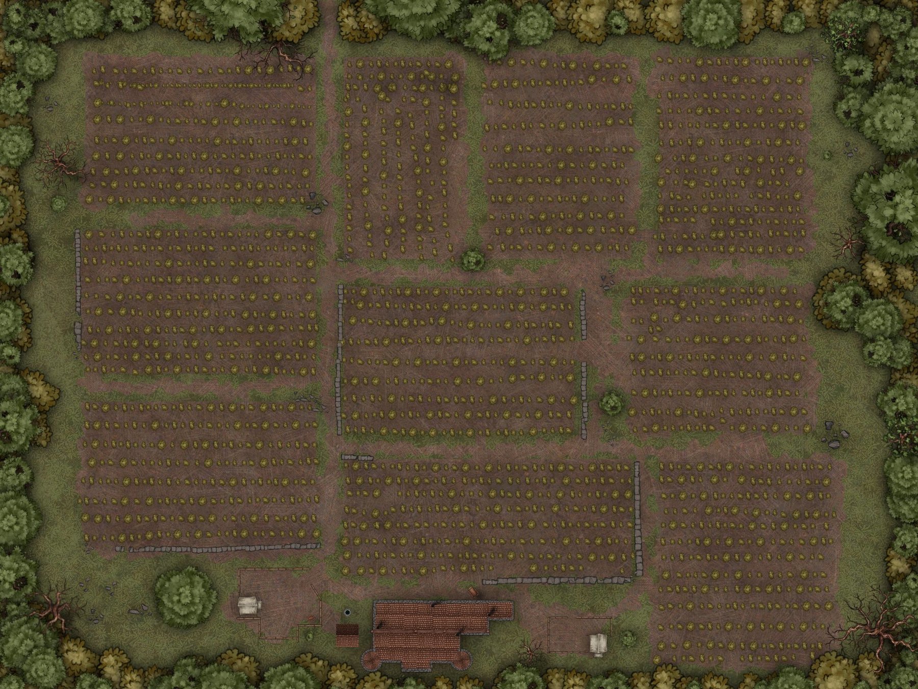 Wizard of the Wines | Inkarnate - Create Fantasy Maps Online